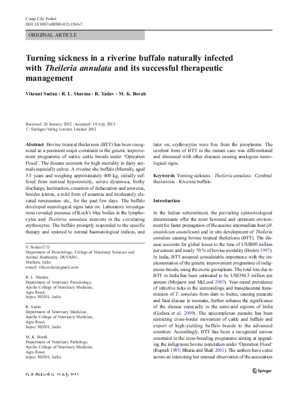 (PDF) Turning sickness in a riverine buffalo naturally infected with ...