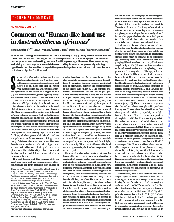 (PDF) Comment on “Human-like hand use in Australopithecus africanus