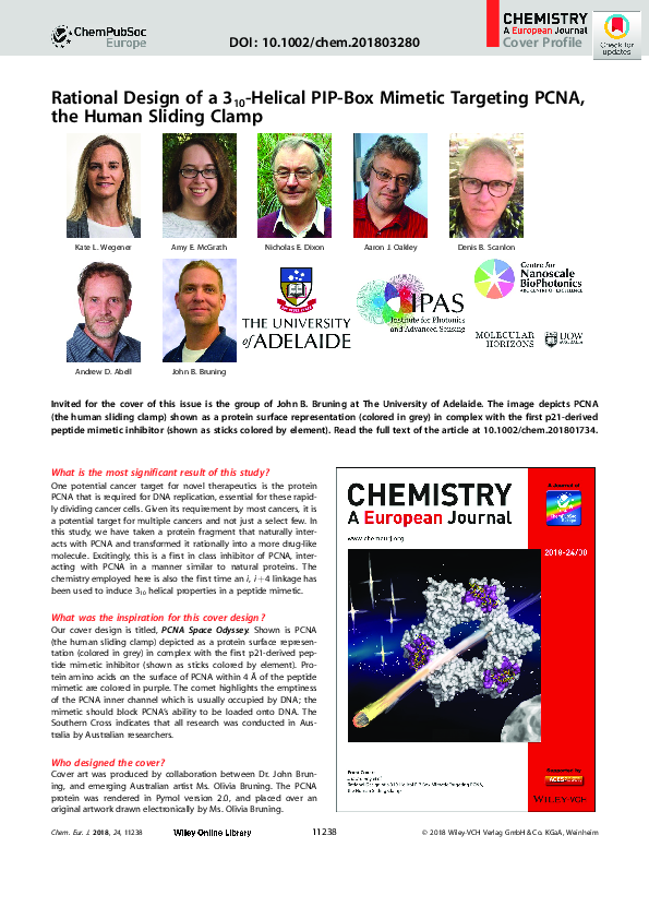 (PDF) Rational Design of a 310 -Helical PIP-Box Mimetic Targeting PCNA ...