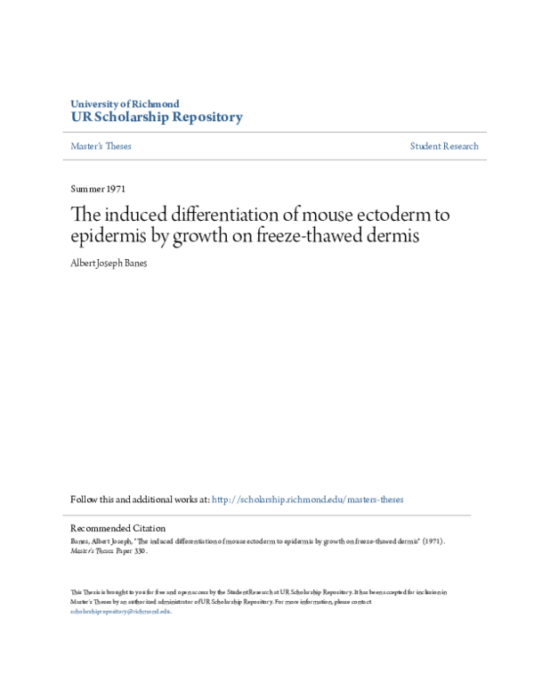 (PDF) The induced differentiation of mouse ectoderm to epidermis by ...