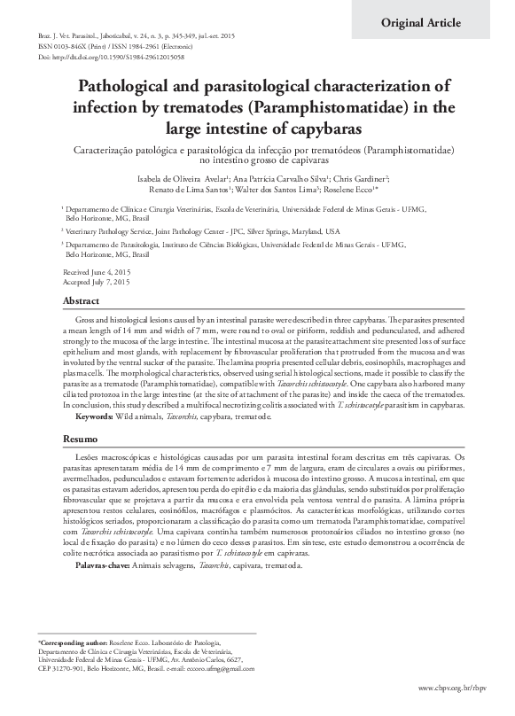 (PDF) Pathological and parasitological characterization of infection by ...