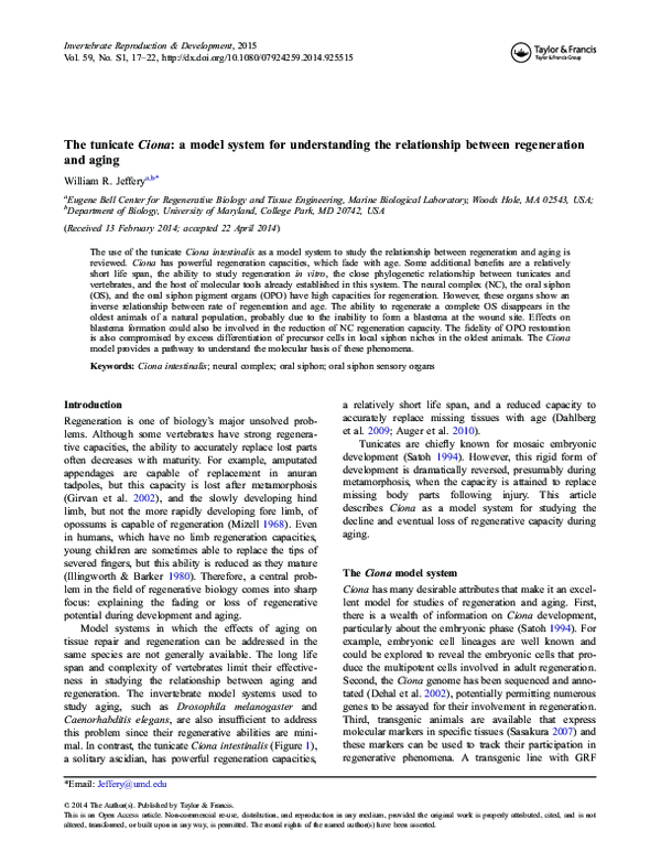 (PDF) The tunicate Ciona : a model system for understanding the ...