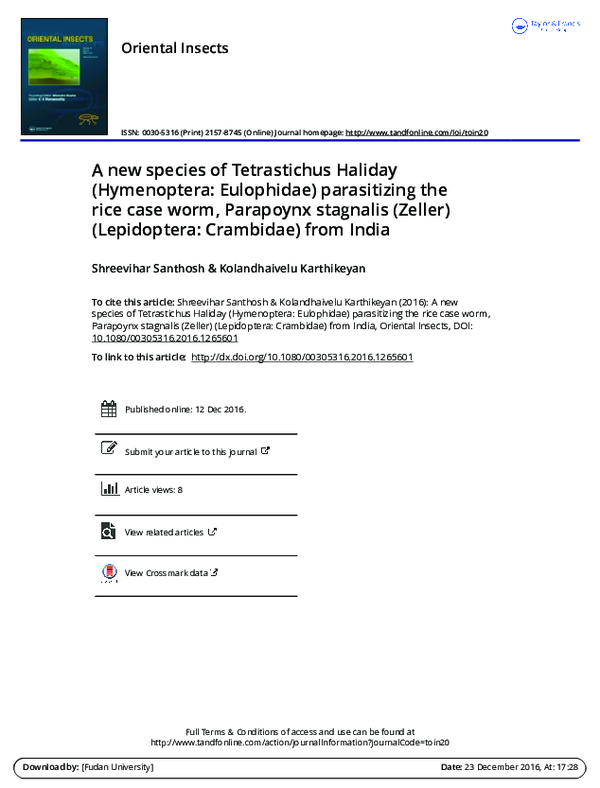 (PDF) A new species of Tetrastichus Haliday (Hymenoptera: Eulophidae ...