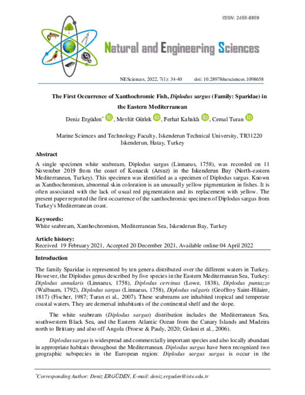 (PDF) The First Occurrence of Xanthochromic Fish, Diplodus sargus ...