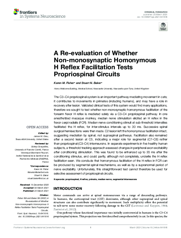 (PDF) A Re-evaluation of Whether Non-monosynaptic Homonymous H Reflex ...