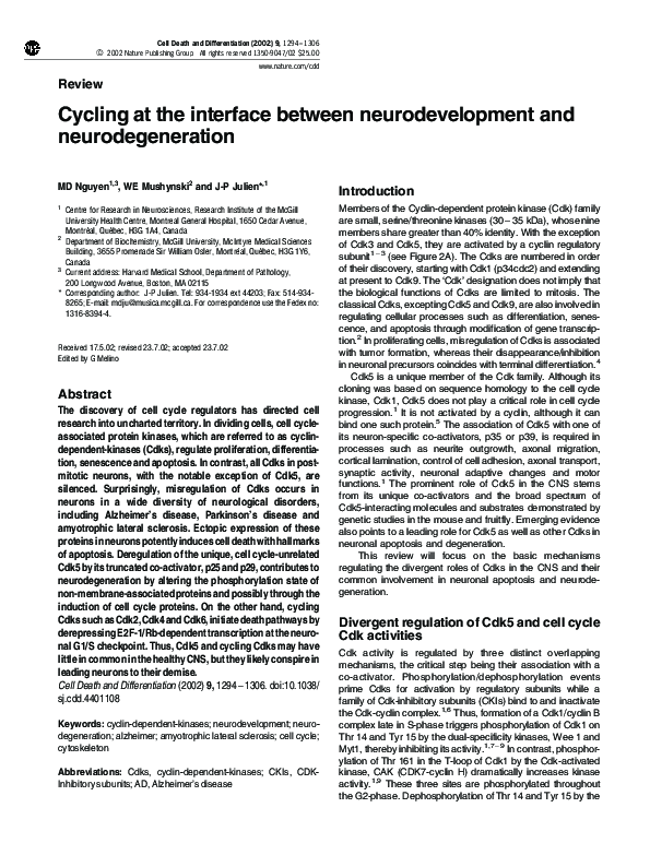 (PDF) Cycling at the interface between neurodevelopment and ...