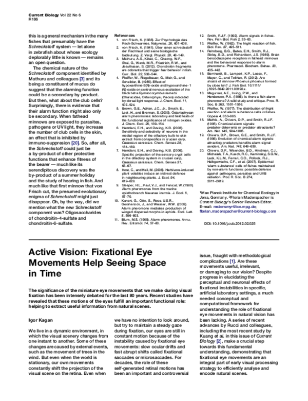 (PDF) Active Vision: Fixational Eye Movements Help Seeing Space in Time