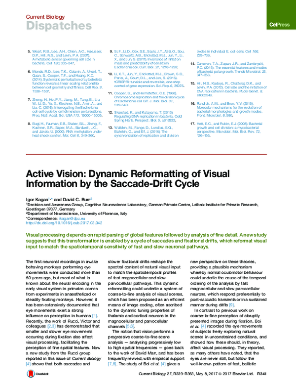 (PDF) Active Vision: Dynamic Reformatting of Visual Information by the ...