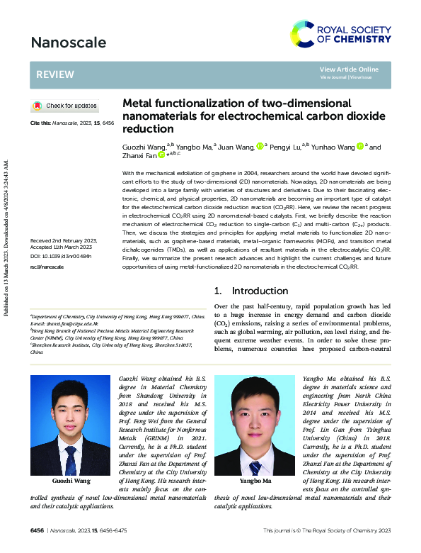 (PDF) Metal functionalization of two-dimensional nanomaterials for electrochemical carbon ...