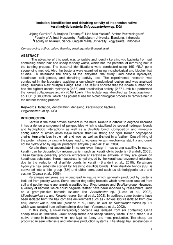 (PDF) Isolation , identification and dehairing activity of Indonesian native keratinolytic ...