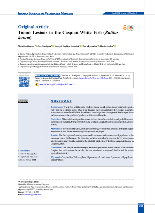 (PDF) Tumor Lesions in the Caspian White Fish (Rutilus kutum