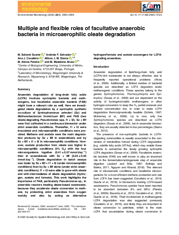 Multiple and flexible roles of facultative anaerobic bacteria in ...