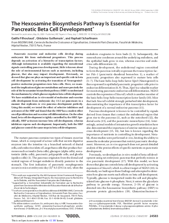 (PDF) The Hexosamine Biosynthesis Pathway is Essential for Pancreatic ...
