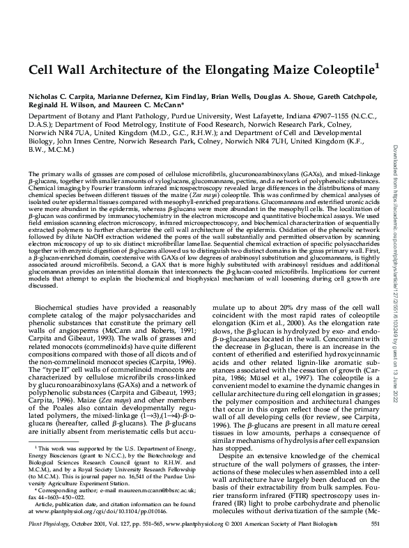 (PDF) Cell Wall Architecture of the Elongating Maize Coleoptile