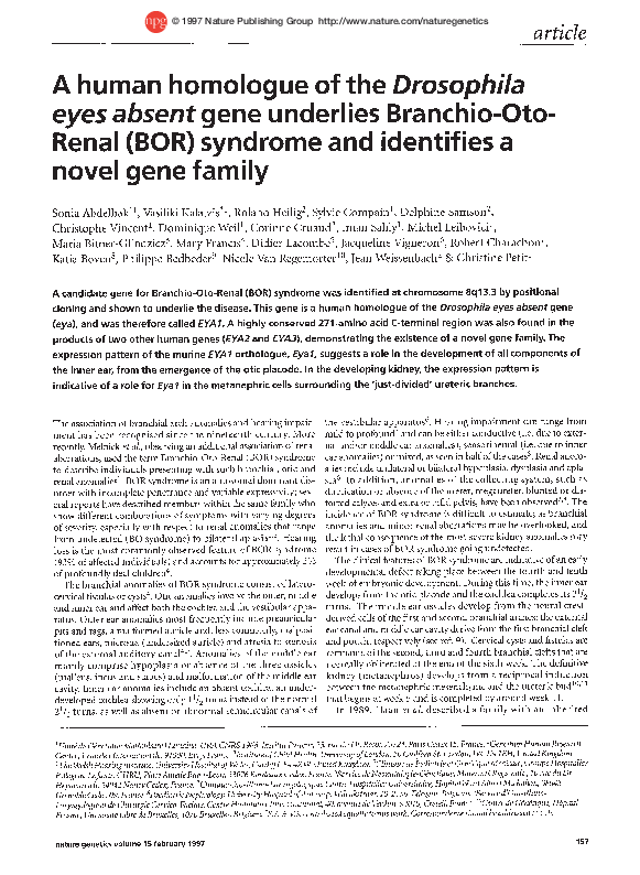 (PDF) A human homologue of the Drosophila eyes absent gene underlies ...