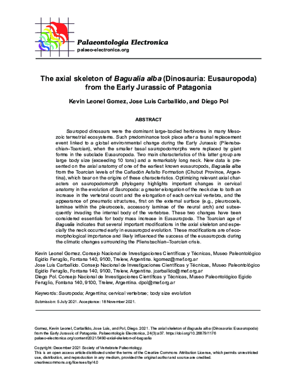 (PDF) The axial skeleton of Bagualia alba (Dinosauria: Eusauropoda ...