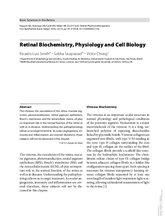 (PDF) Retinal biochemistry, physiology, and cell biology