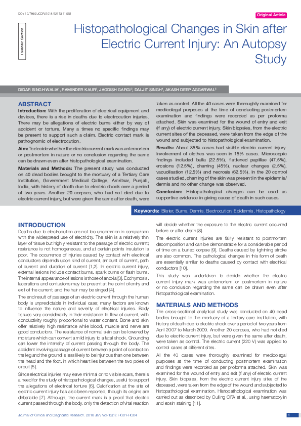 (PDF) Histopathological Changes in Skin after Electric Current Injury ...