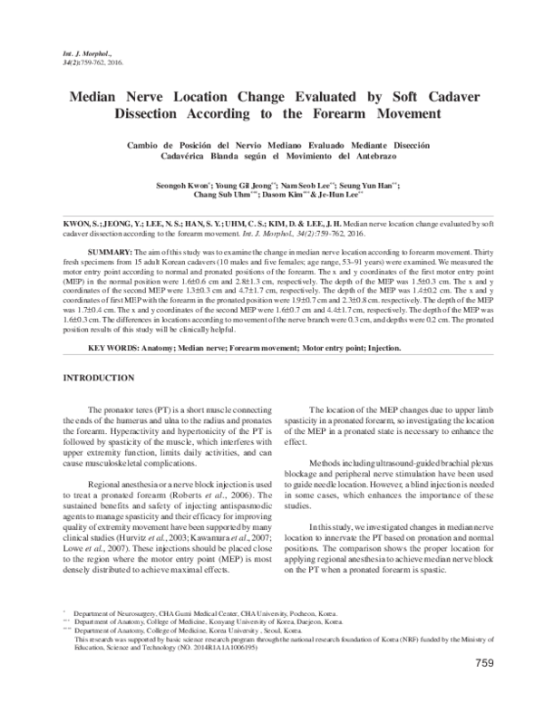 (PDF) Median Nerve Position Changes in Forearm Movements