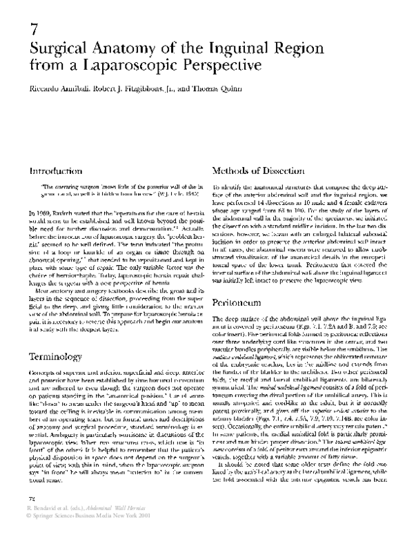 (PDF) Surgical Anatomy of the Inguinal Region from a Laparoscopic ...