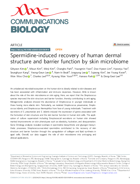 (PDF) Spermidine-induced recovery of human dermal structure and barrier ...
