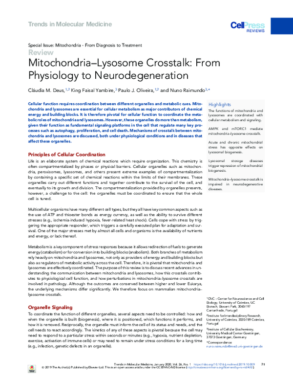 (PDF) Mitochondria–Lysosome Crosstalk: From Physiology to Neurodegeneration