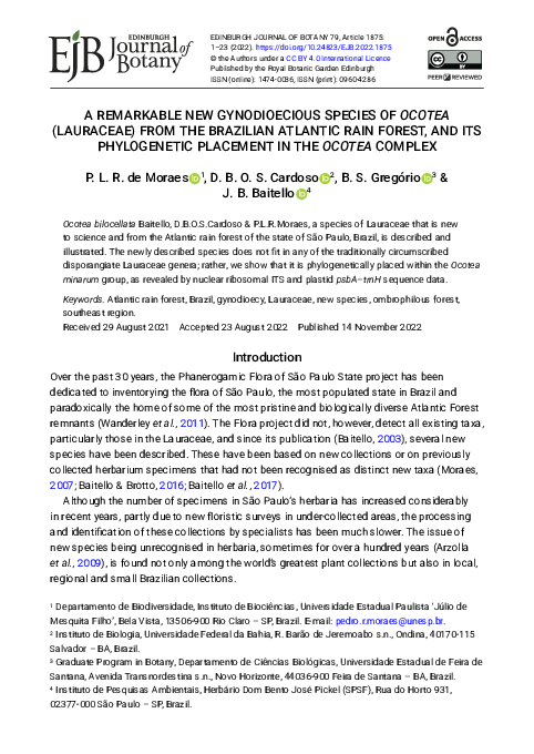 (PDF) A Remarkable New Gynodioecious Species of Ocotea (Lauraceae) from ...