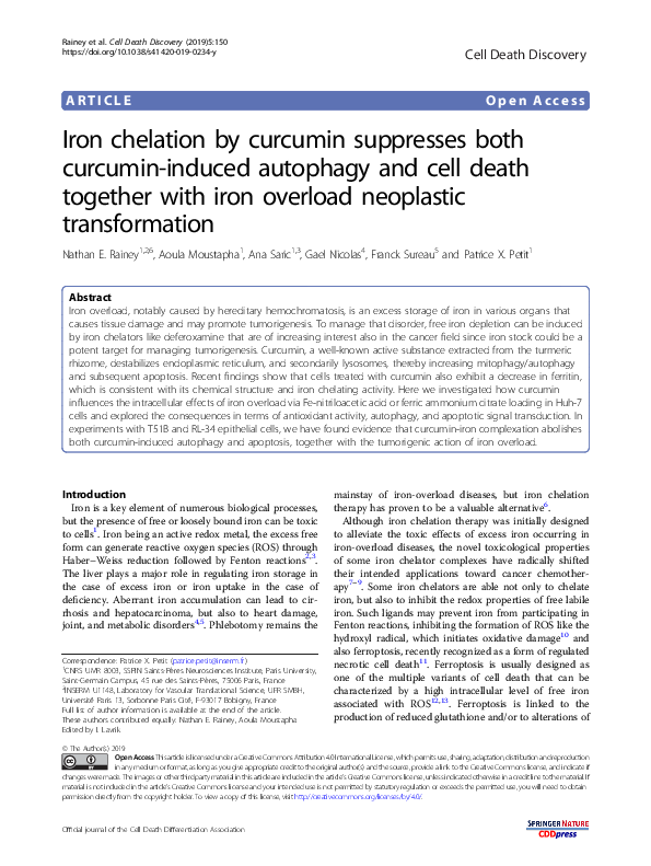 (PDF) Iron chelation by curcumin suppresses both curcumin-induced ...