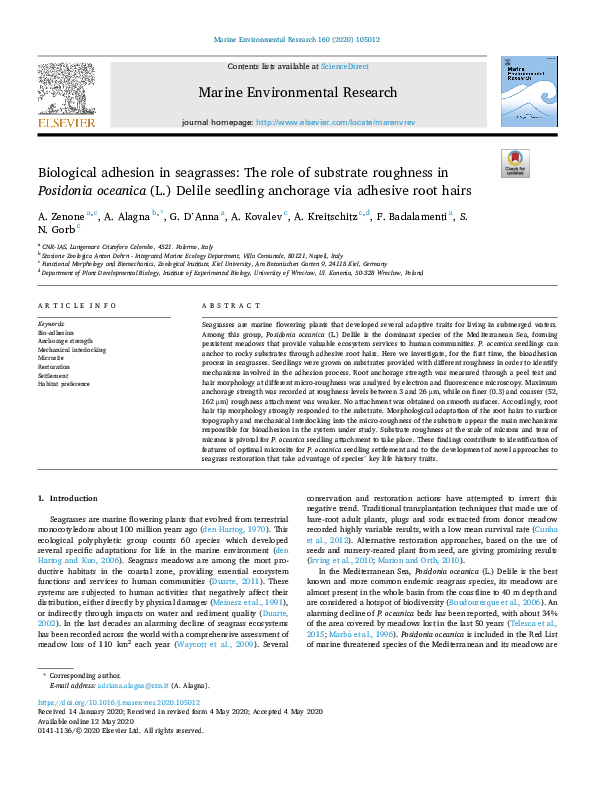(PDF) Biological adhesion in seagrasses: The role of substrate ...