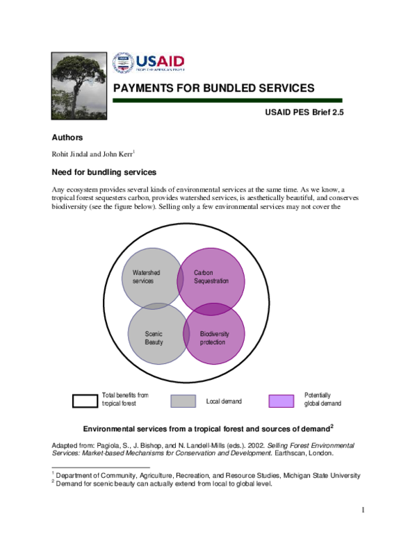 (PDF) Payments for bundled services