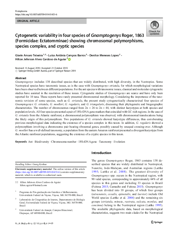 (PDF) Cytogenetic variability in four species of Gnamptogenys Roger ...