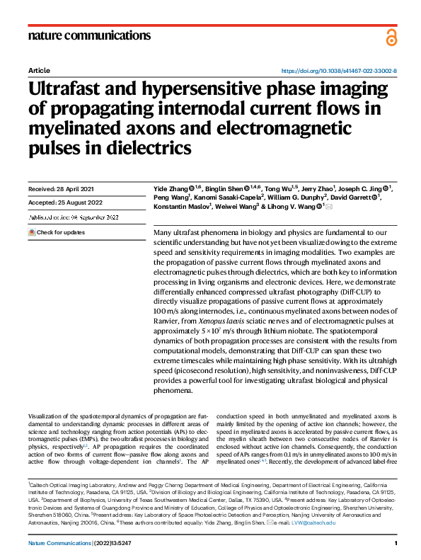 (PDF) Ultrafast and hypersensitive phase imaging of propagating ...