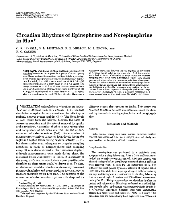 (PDF) Circadian Rhythms of Epinephrine and Norepinephrine in Man*