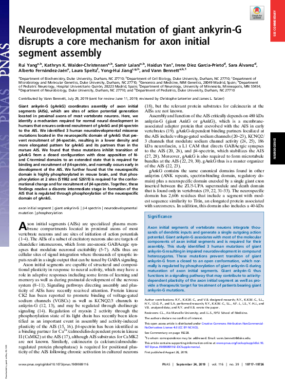 (PDF) Neurodevelopmental mutation of giant ankyrin-G disrupts a core ...