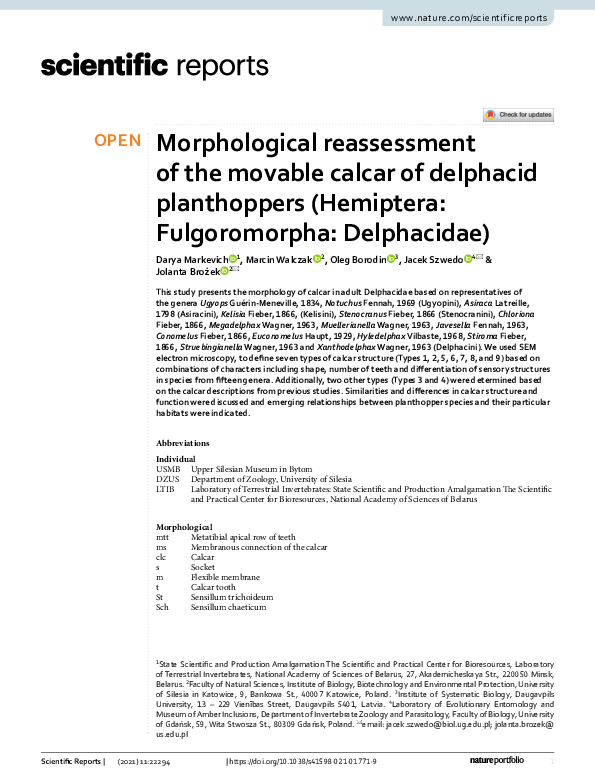 (PDF) Morphological reassessment of the movable calcar of delphacid planthoppers (Hemiptera ...
