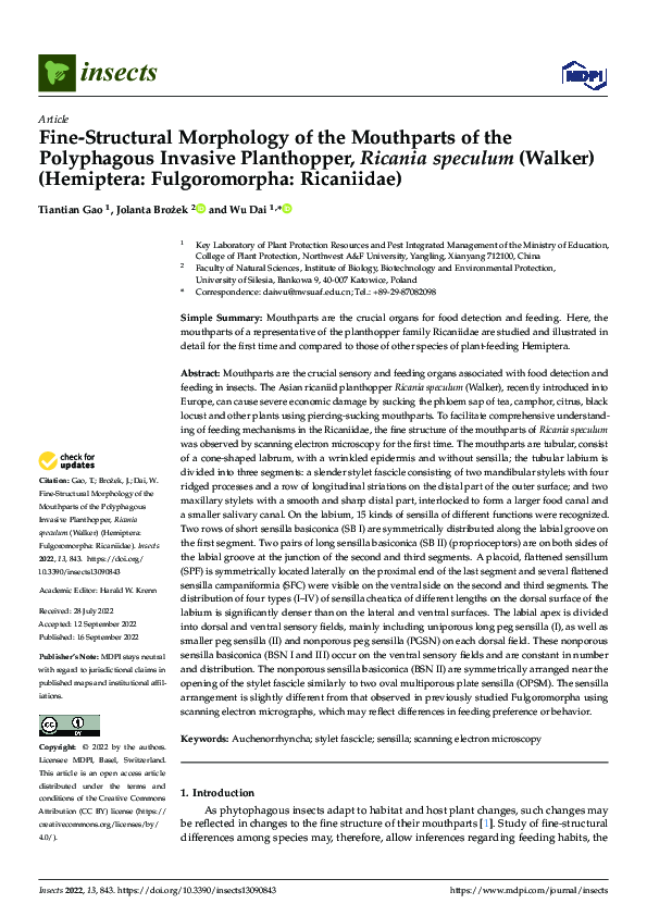 (PDF) Fine-Structural Morphology of the Mouthparts of the Polyphagous ...