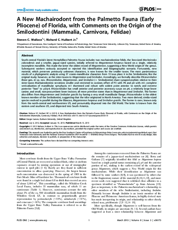 (PDF) A New Machairodont from the Palmetto Fauna (Early Pliocene) of ...