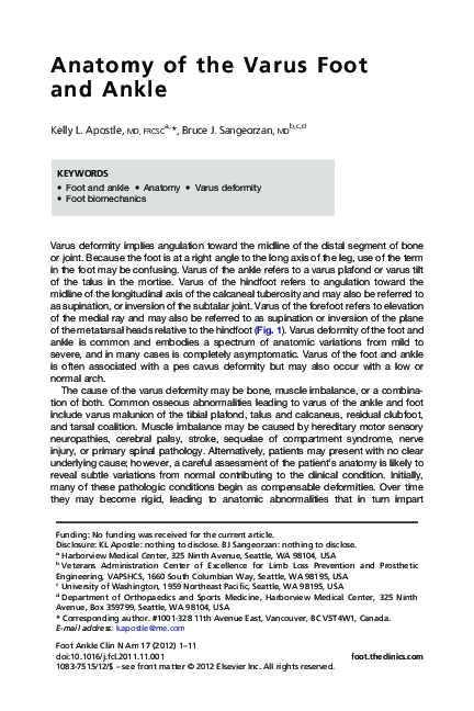 (PDF) Anatomy of the Varus Foot and Ankle
