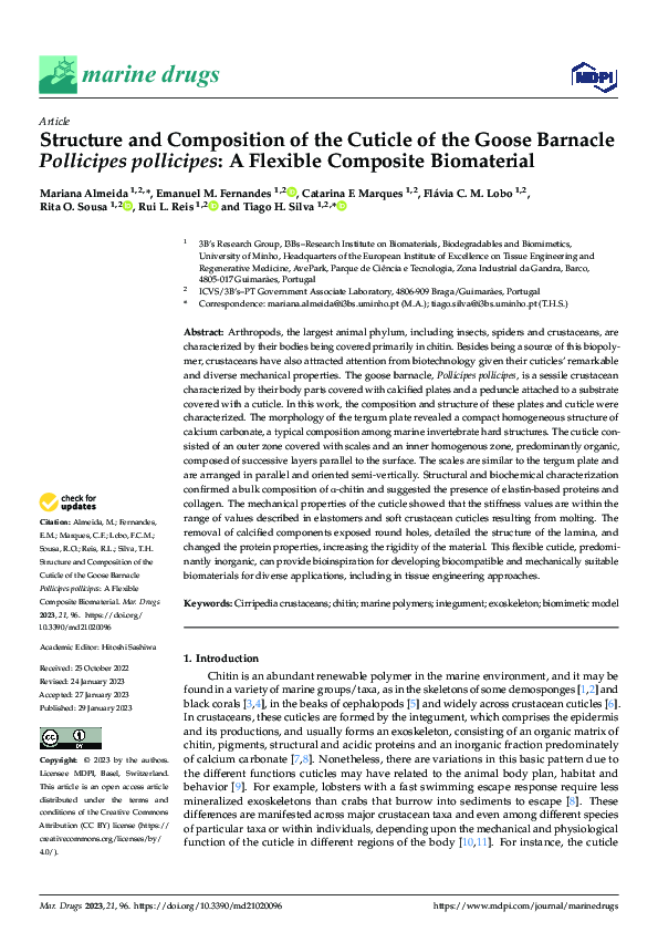 (PDF) Structure and Composition of the Cuticle of the Goose Barnacle ...