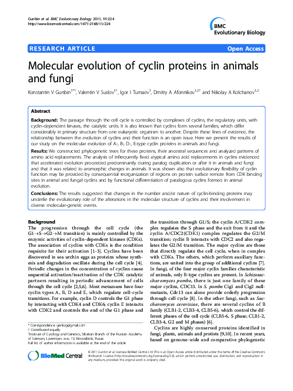 (PDF) Molecular evolution of cyclin proteins in animals and fungi