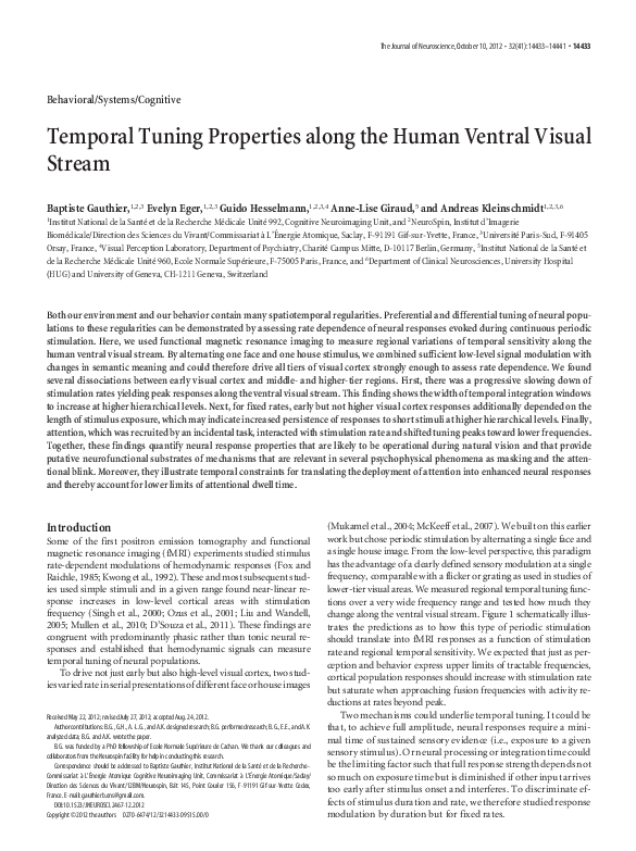 (PDF) Temporal Tuning Properties along the Human Ventral Visual Stream