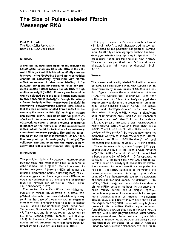 (PDF) The size of pulse-labeled fibroin messenger RNA | Paul Lizardi ...