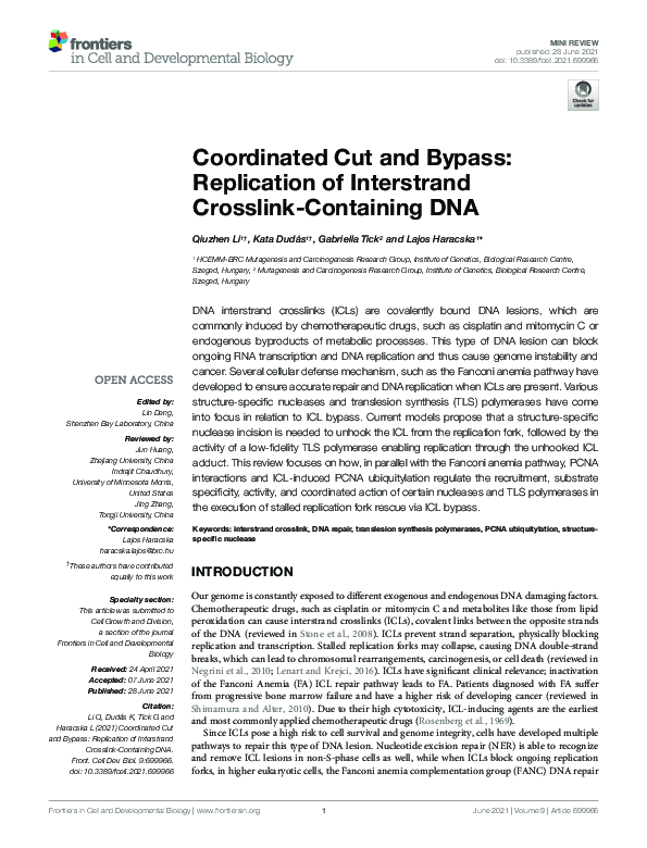 (PDF) Coordinated Cut and Bypass: Replication of Interstrand Crosslink ...