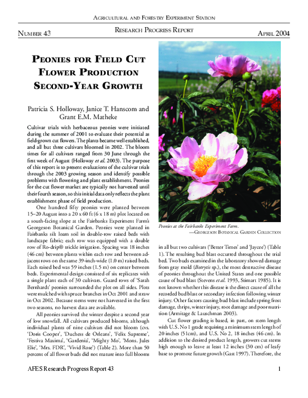 (PDF) Peonies for Field Cut Flower Production Second-Year Growth