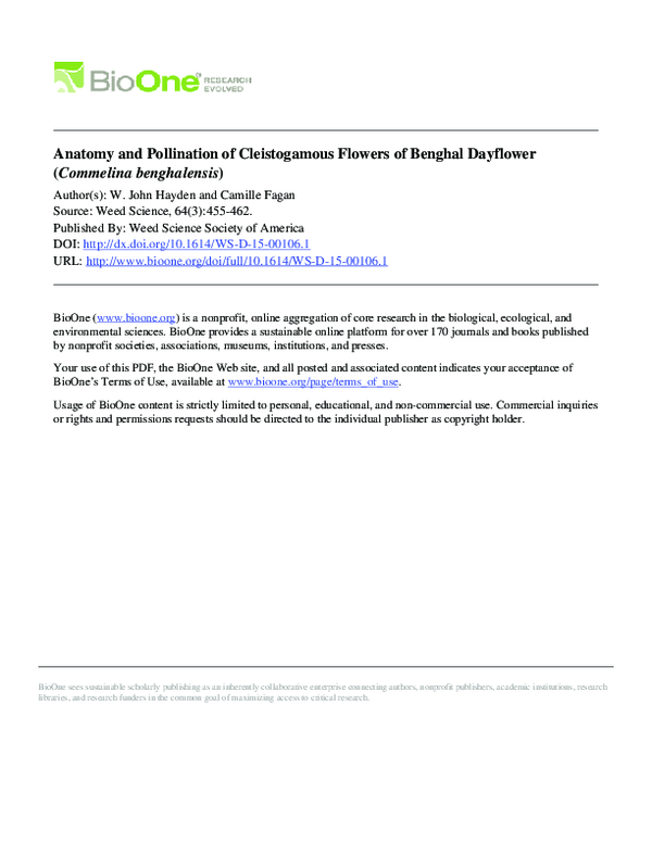 (PDF) Anatomy and Pollination of Cleistogamous Flowers of Benghal ...