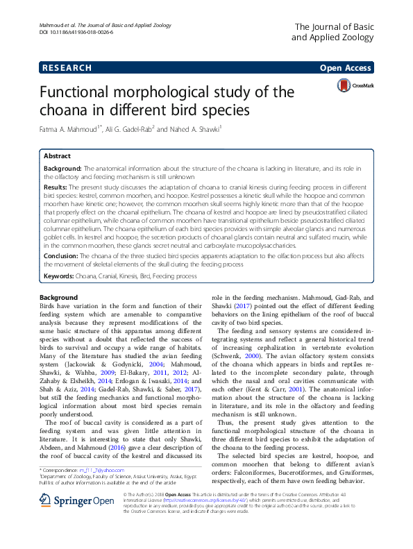 (PDF) Functional morphological study of the choana in different bird ...