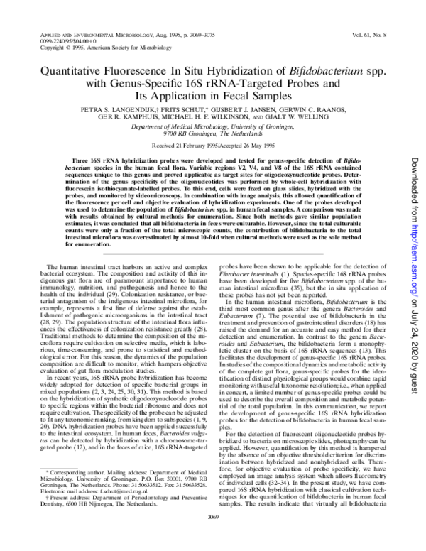 (PDF) Quantitative fluorescence in situ hybridization of Bifidobacterium spp. with genus ...