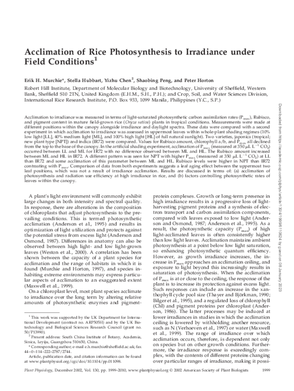 (PDF) Acclimation of Rice Photosynthesis to Irradiance under Field ...
