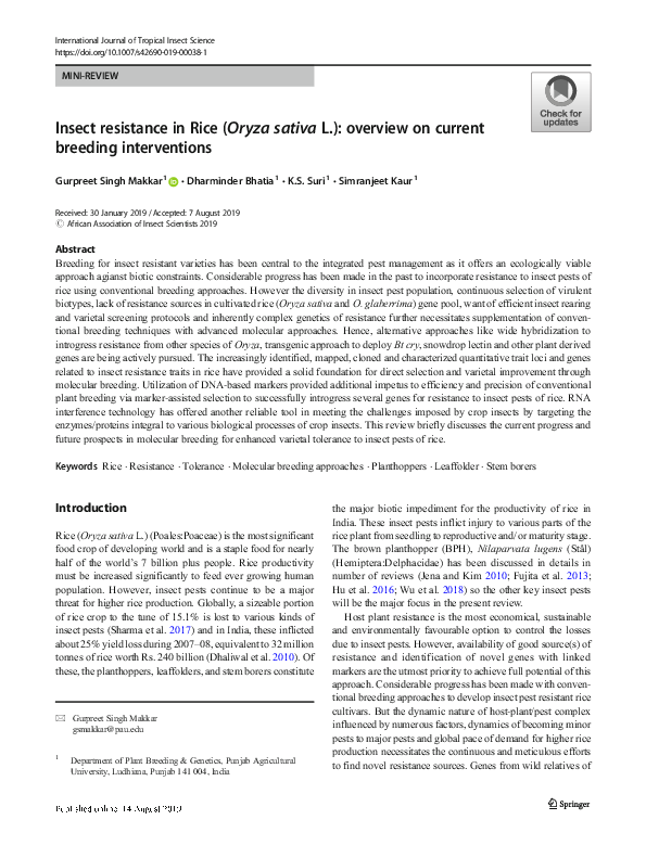(PDF) Insect resistance in Rice (Oryza sativa L.): overview on current ...