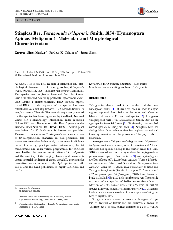 (PDF) Stingless Bee, Tetragonula iridipennis Smith, 1854 (Hymenoptera: Apidae: Meliponini ...